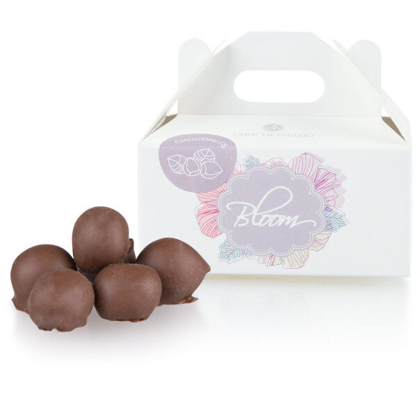 Chocolissimo - heerlijke chocolade en pralines, originele chocolade ...